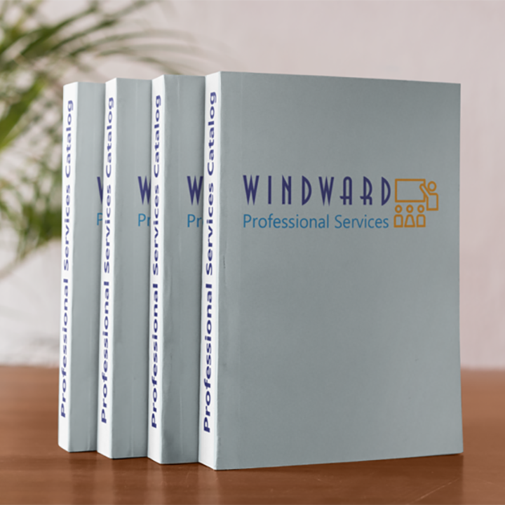 Professional Services- Get the Most from Your ERP Windward System Five